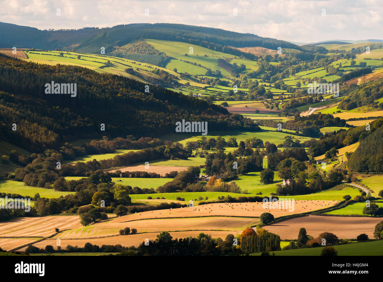 Radnor forest uk hi-res stock photography and images - Alamy