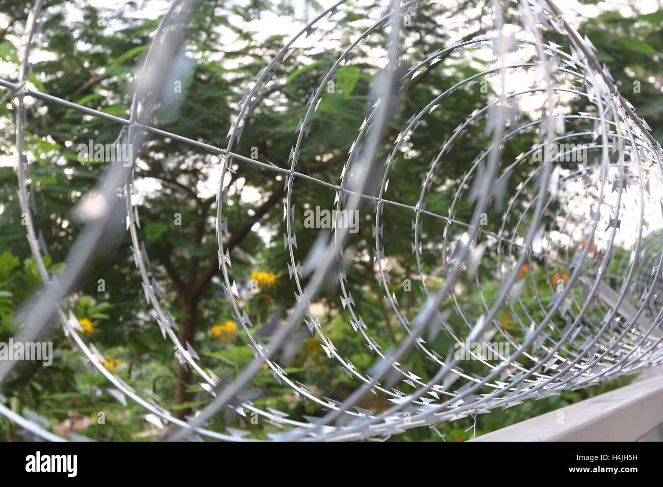 Secured with razor wire on top of the iron fence Stock Photo - Alamy