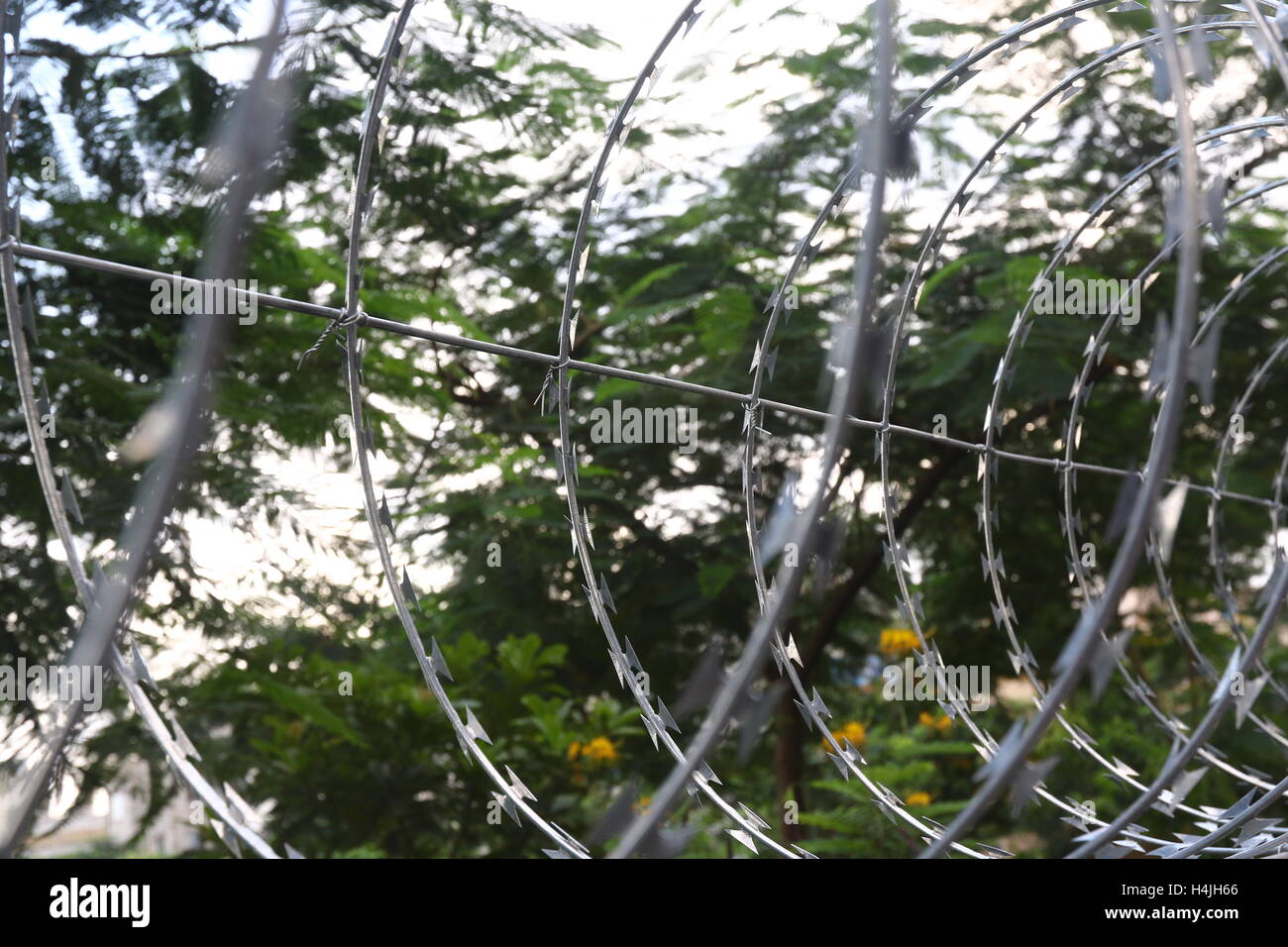 Secured with razor wire on top of the iron fence Stock Photo - Alamy