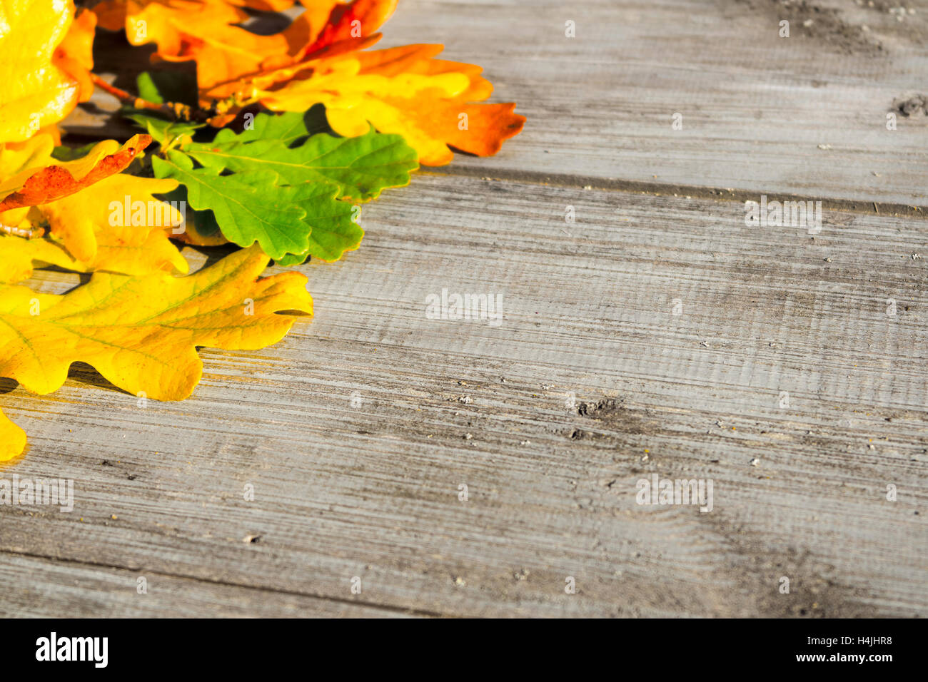 Autumn leaves on a table Stock Photo - Alamy