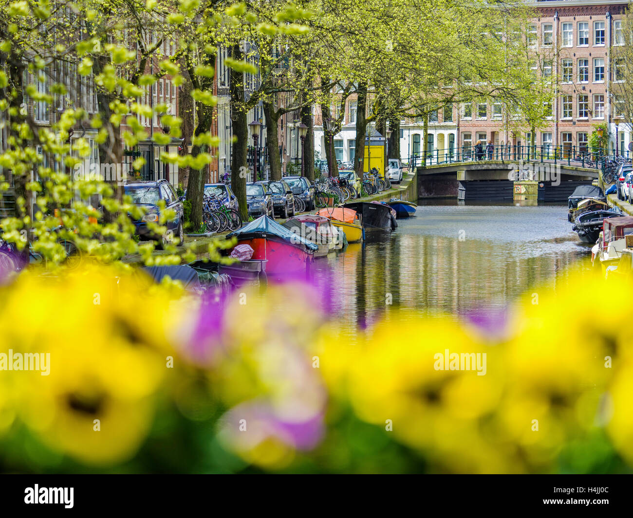 Canal tour grachtengordel amsterdam hi-res stock photography and images ...