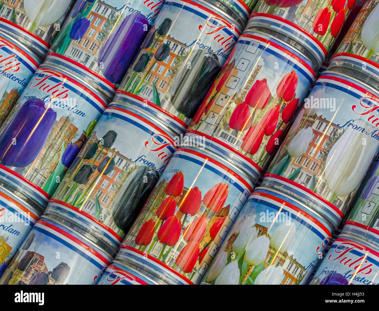 Cans of tulip bulbs in Amsterdam Netherlands Stock Photo - Alamy