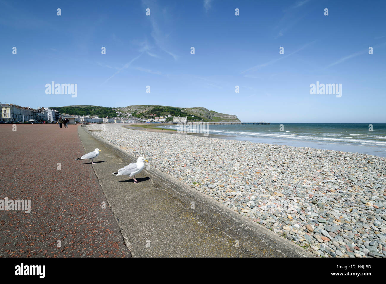 Llandudno beach on the North Wales coast Stock Photo - Alamy