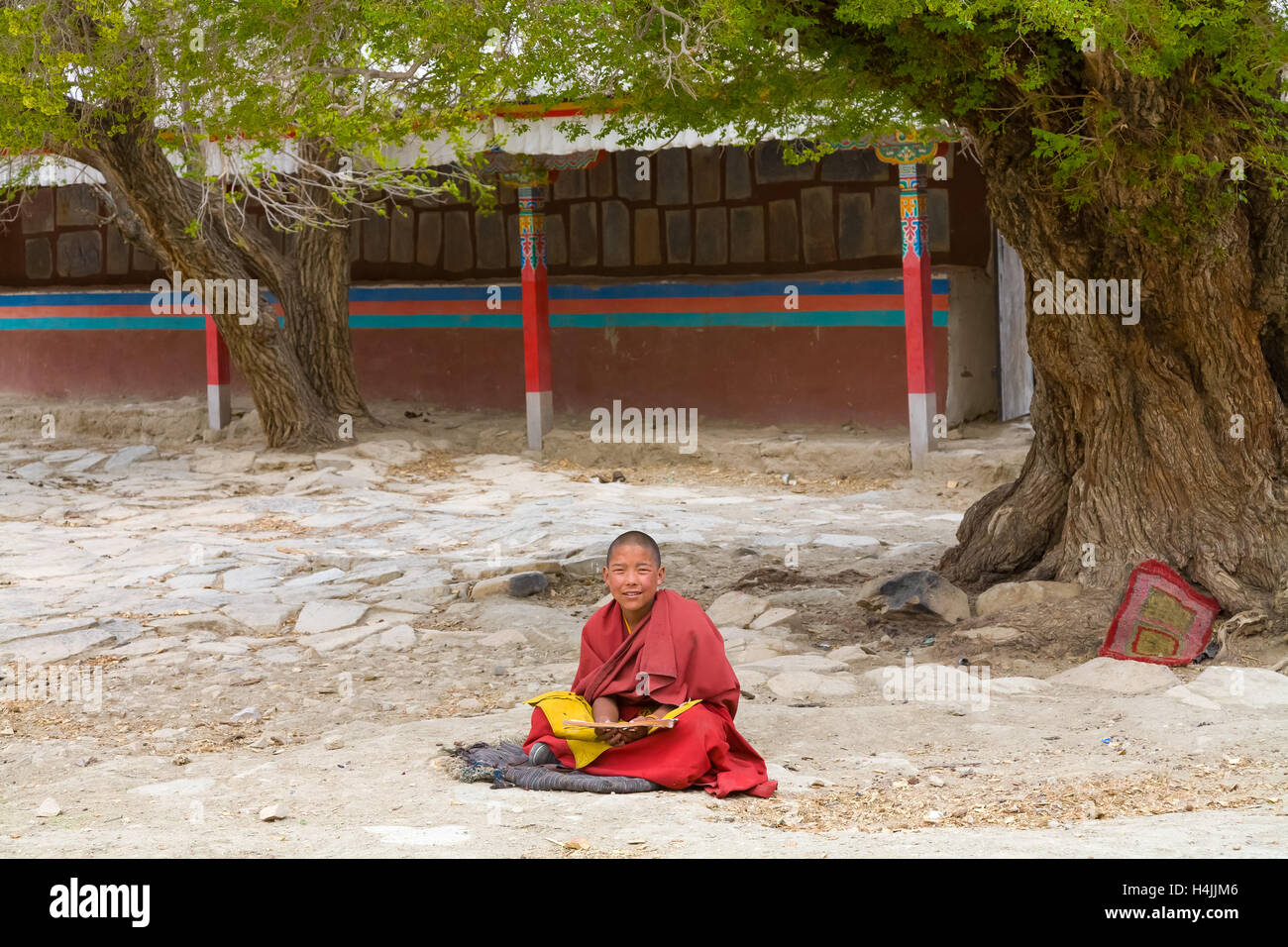 Buddhist monk reading scripture hi-res stock photography and images - Alamy