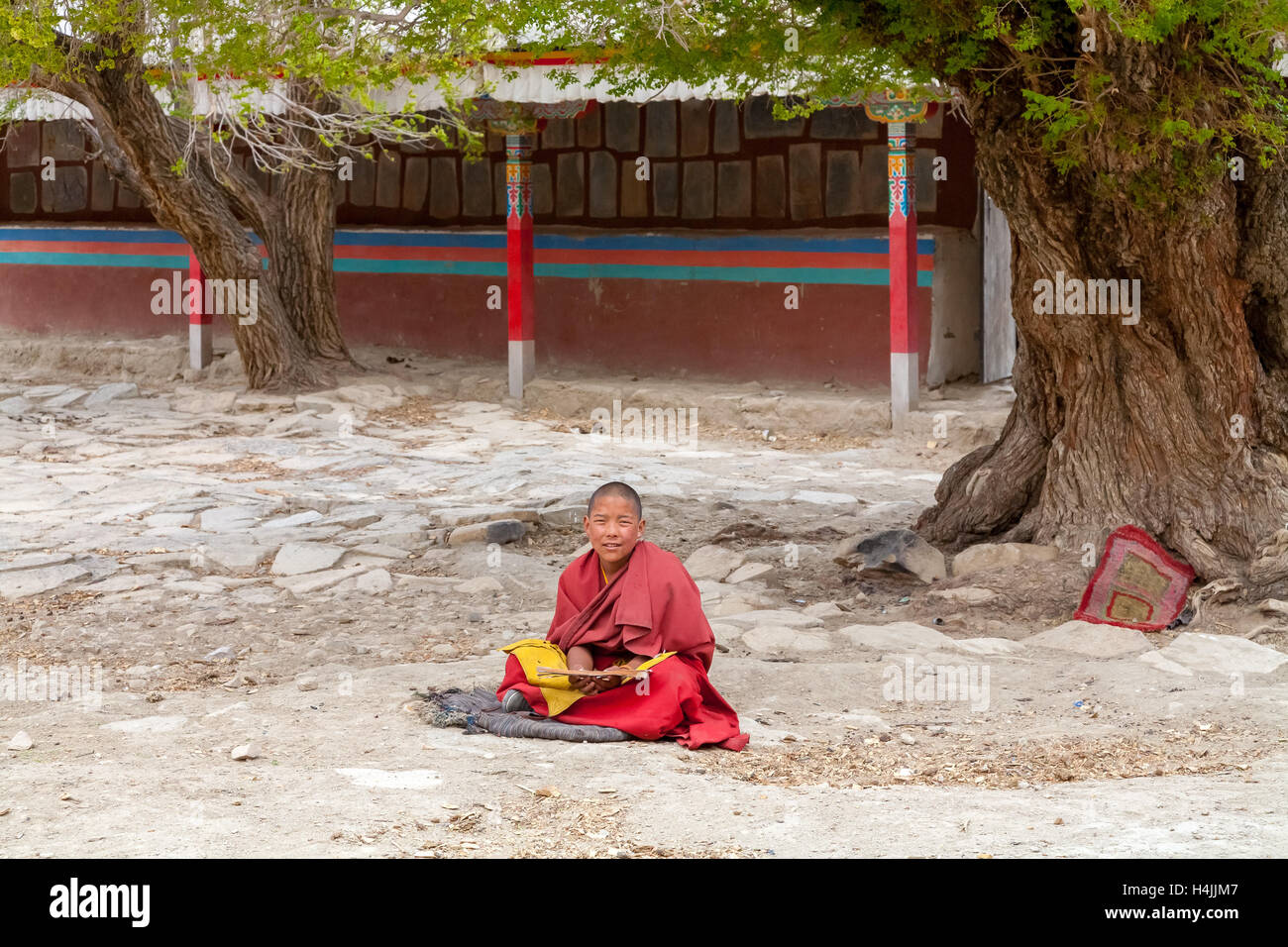 Buddhist monk reading scripture hi-res stock photography and images - Alamy