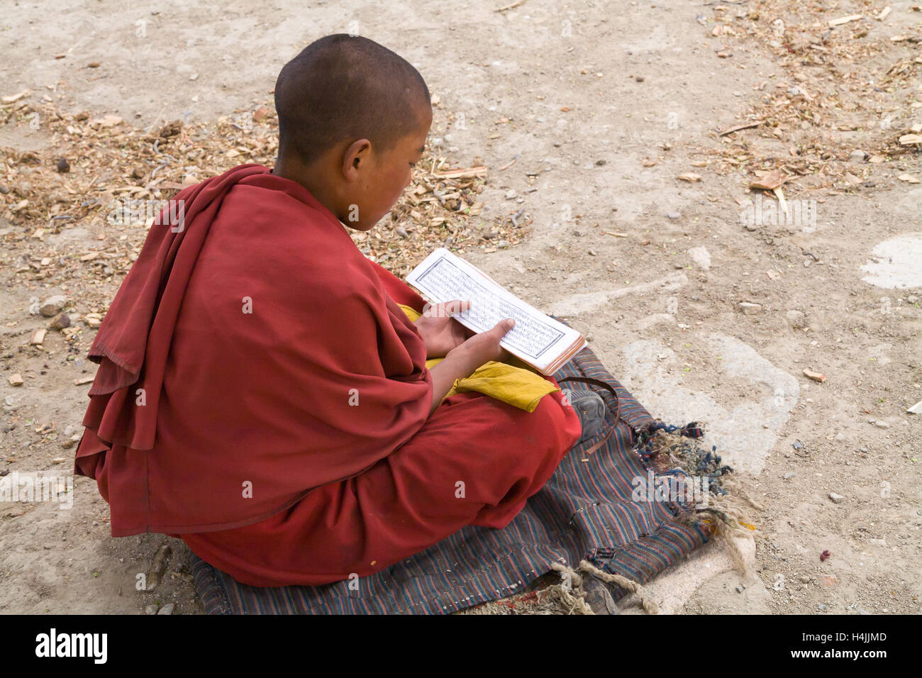 The young monk reads sacred scripture Stock Photo - Alamy