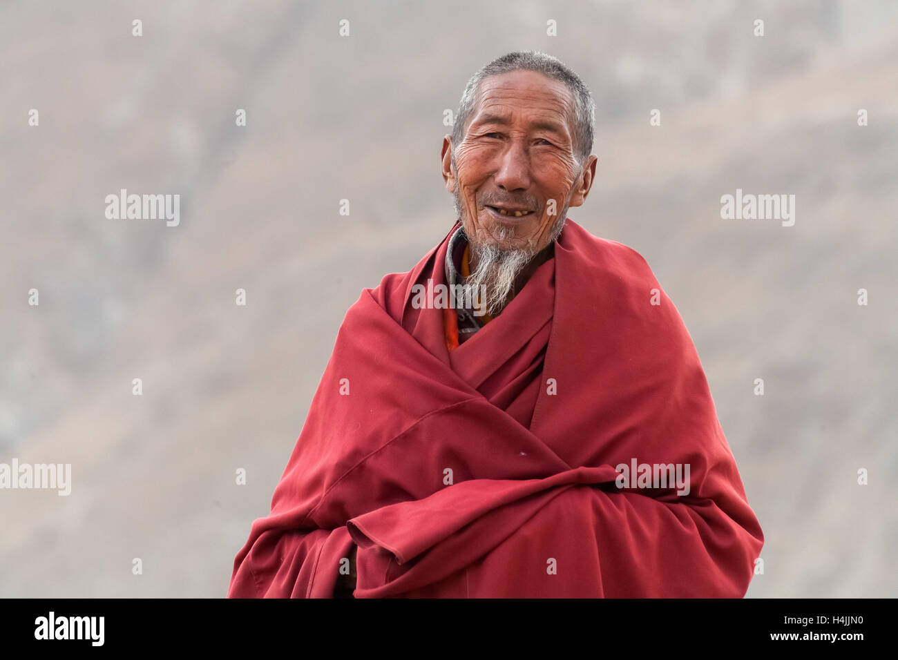 Portrait of a old monk Stock Photo - Alamy