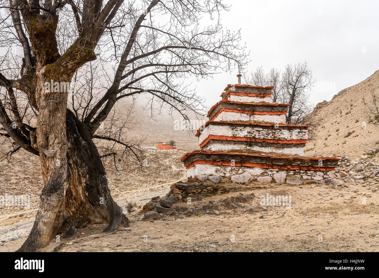Great Jonang Kumbum Stock Photo - Alamy