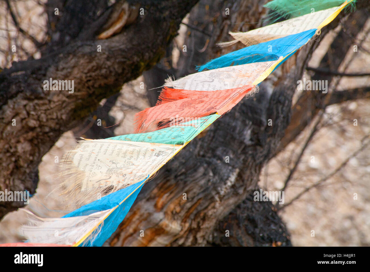 Great stupa of jonang hi-res stock photography and images - Alamy