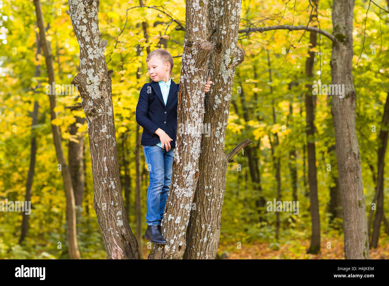 Child climbed a tree hi-res stock photography and images - Alamy