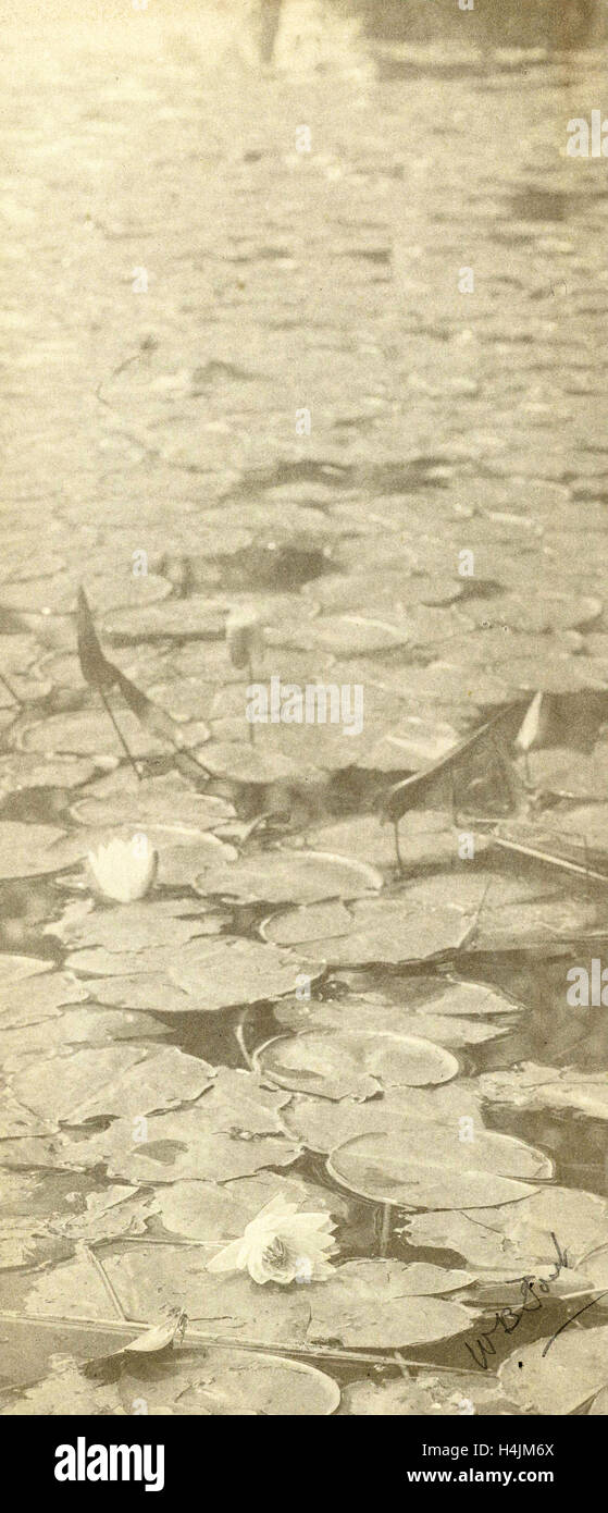 Signed by artist hi-res stock photography and images - Alamy