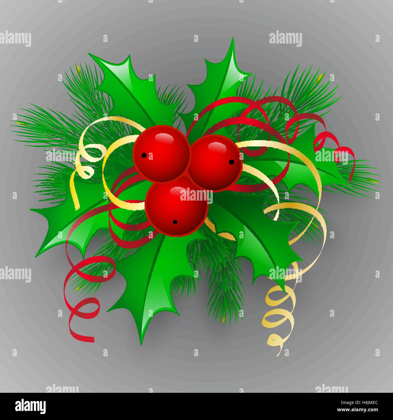 Vector Christmas holly with berries Stock Vector Image & Art - Alamy
