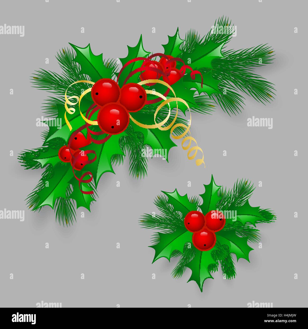 Vector Christmas holly with berries Stock Vector Image & Art - Alamy