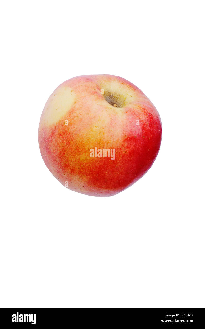 Pacific Rose apple Stock Photo - Alamy