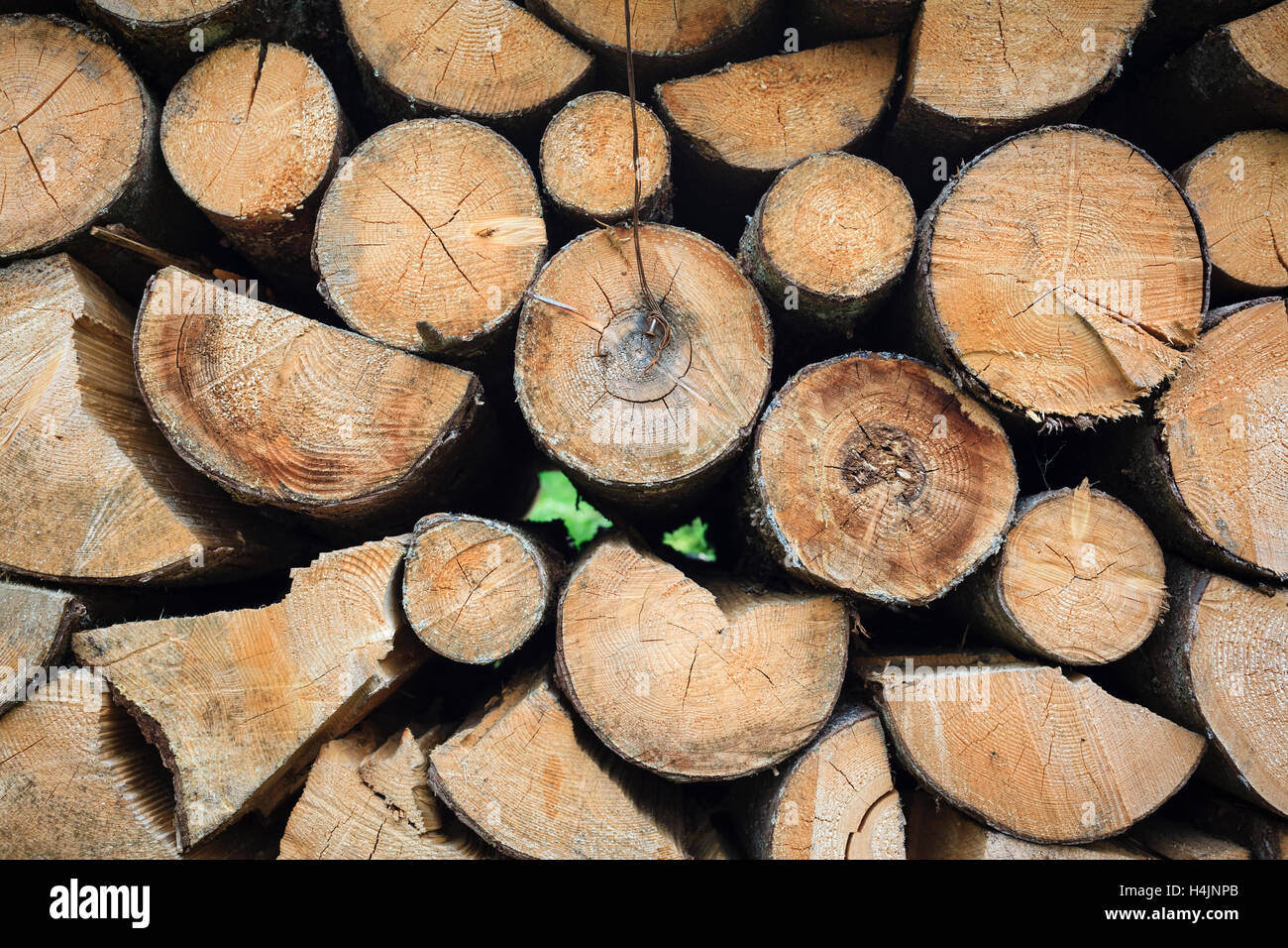 Stacked firewood bavaria germany hi-res stock photography and images ...