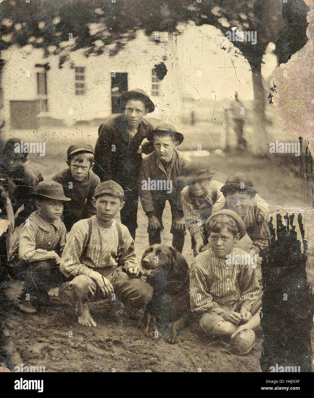 Group portrait of nine boys and a dog, standing and sitting in the open ...