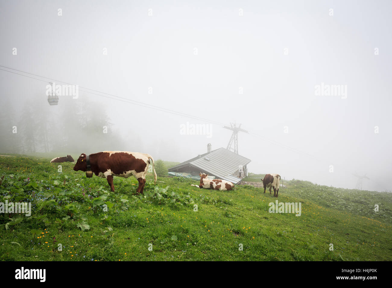 Jennerbahn cable-car. Berchtesgaden National Park. Upper Bavaria ...