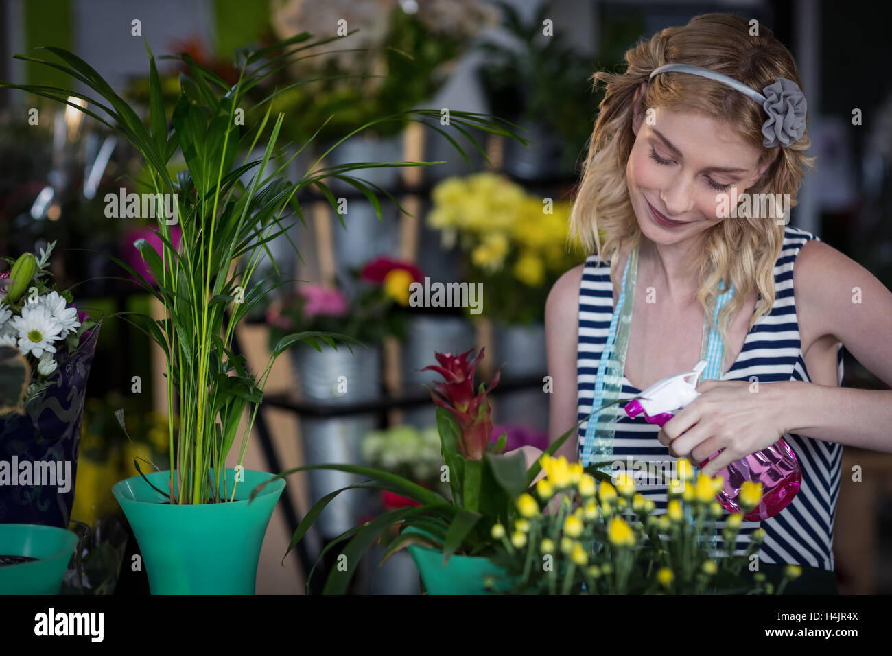 Woman spraying on plant hi-res stock photography and images - Alamy