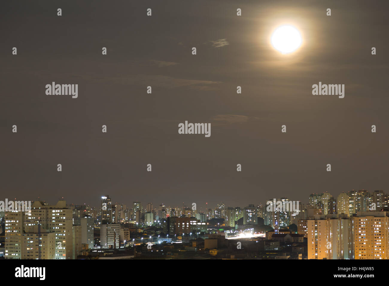 Full moon night jungle hi-res stock photography and images - Alamy