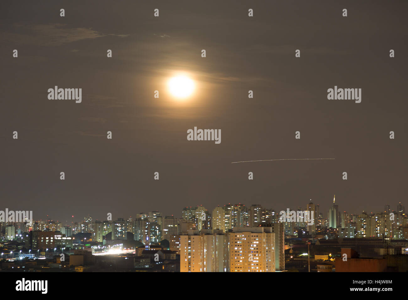 Full moon night jungle hi-res stock photography and images - Alamy