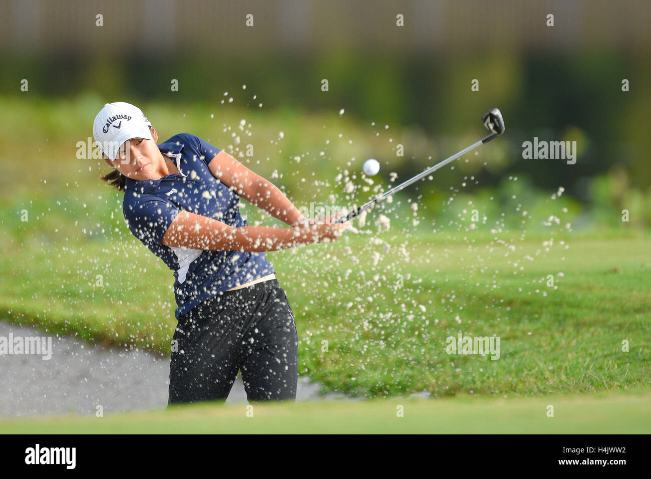 2016 3302 hi-res stock photography and images - Alamy