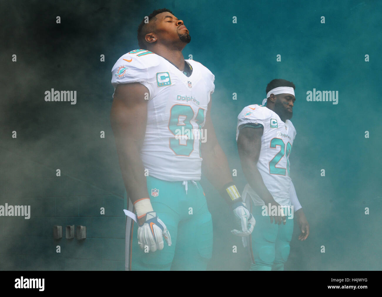 Cameron wake dolphins hi-res stock photography and images - Alamy