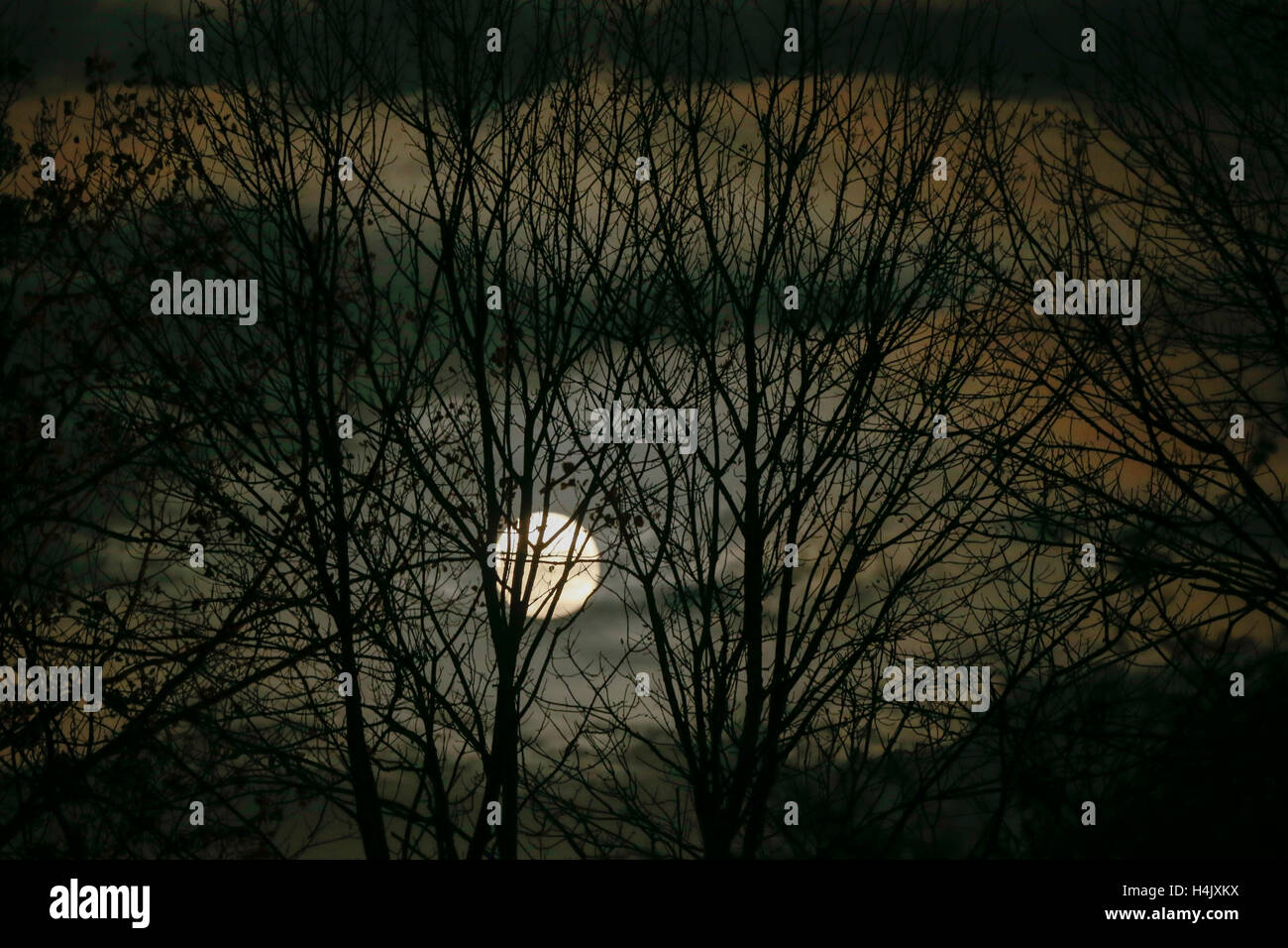Bloomington, Indiana, USA. 16th Oct, 2016. The Hunter's Supermoon rises ...