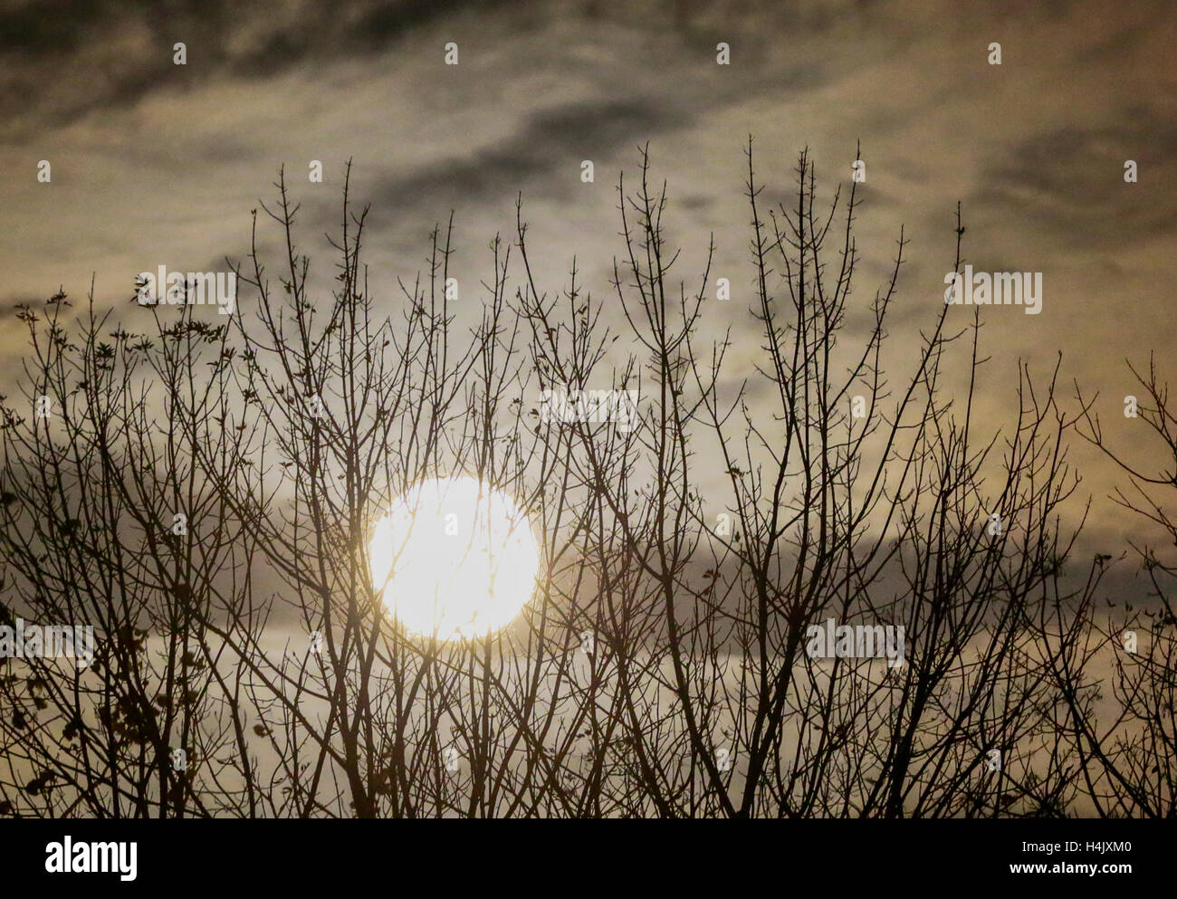 Bloomington, Indiana, USA. 16th Oct, 2016. The Hunter's Supermoon rises ...