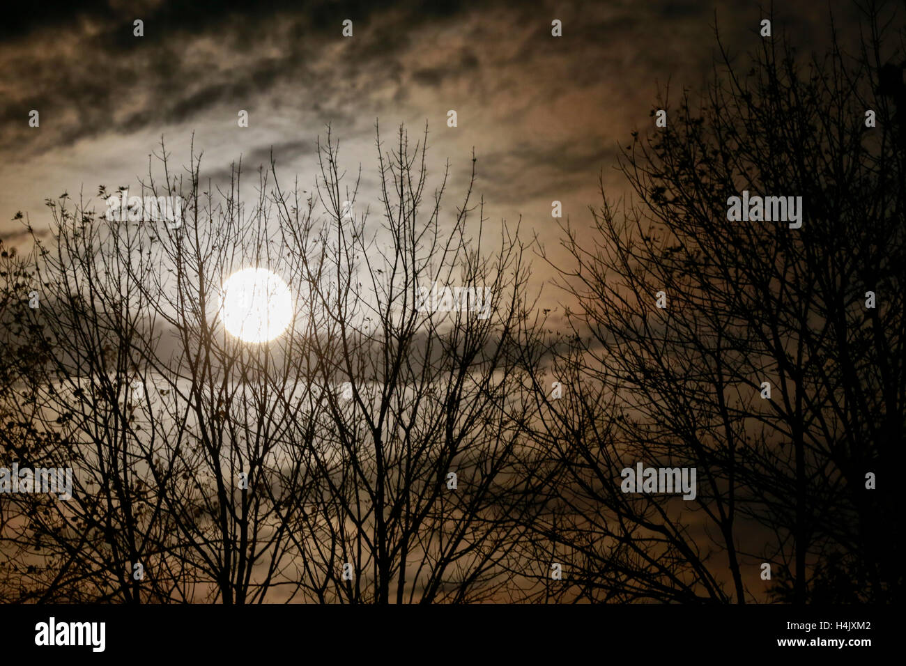 Bloomington, Indiana, USA. 16th Oct, 2016. The Hunter's Supermoon rises ...