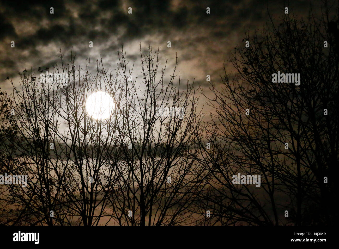 Bloomington, Indiana, USA. 16th Oct, 2016. The Hunter's Supermoon rises ...