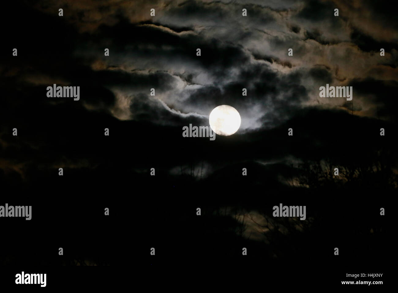 Bloomington, Indiana, USA. 16th Oct, 2016. The Hunter's Supermoon rises ...