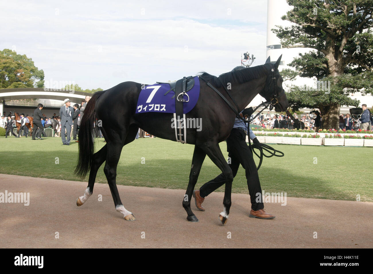 Kyoto, Japan. 16th Oct, 2016. Vivlos Horse Racing : Vivlos is led ...