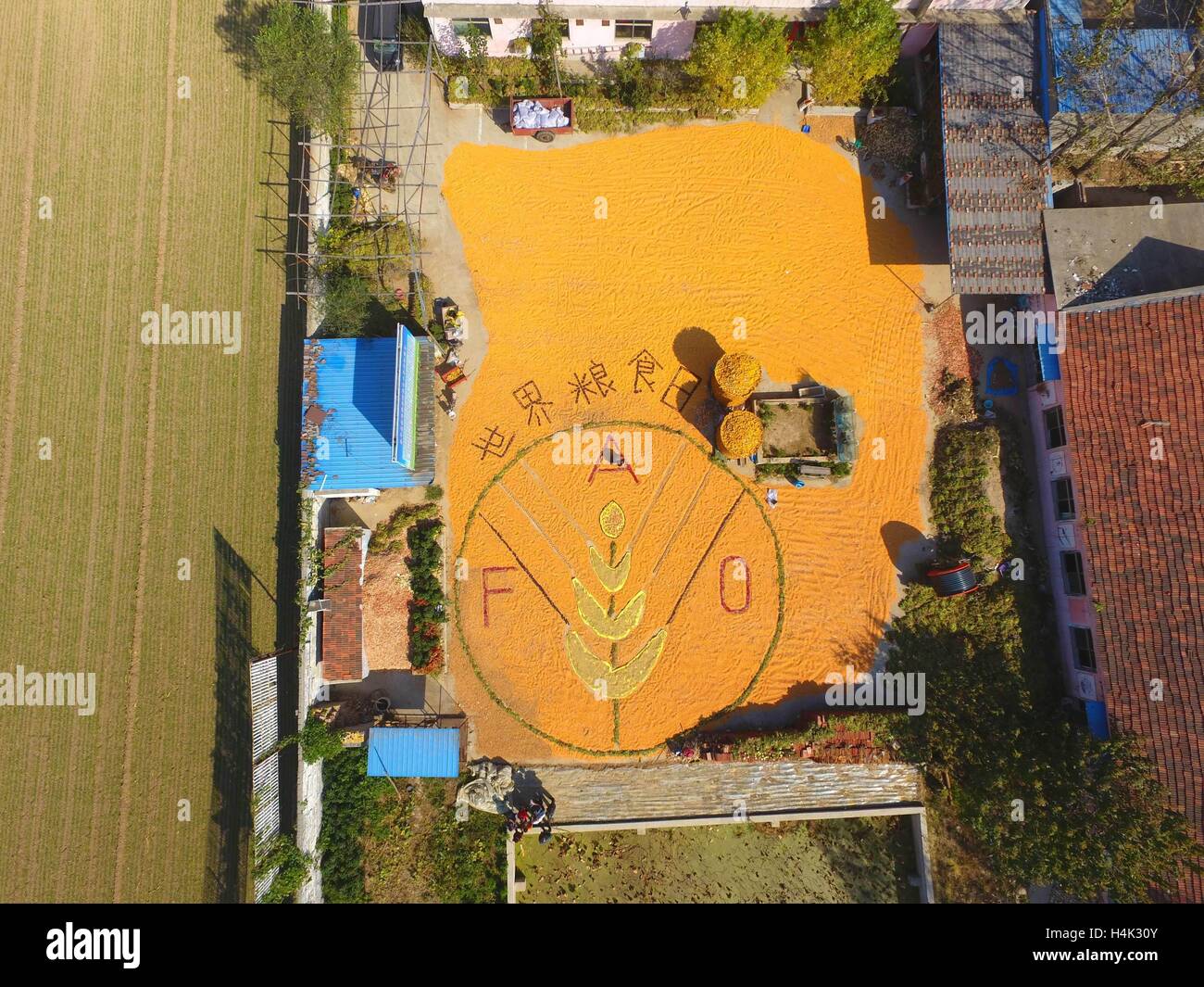 Liaocheng, Liaocheng, China. 14th Oct, 2016. Liaocheng, CHINA-October ...