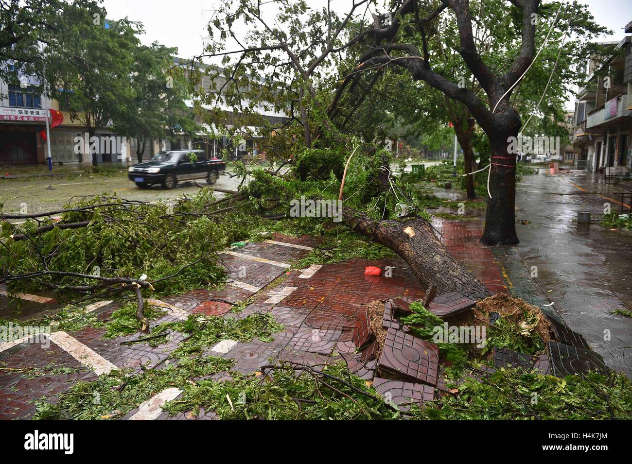 Wanning, China's Hainan Province. 18th Oct, 2016. Trees are blown down ...