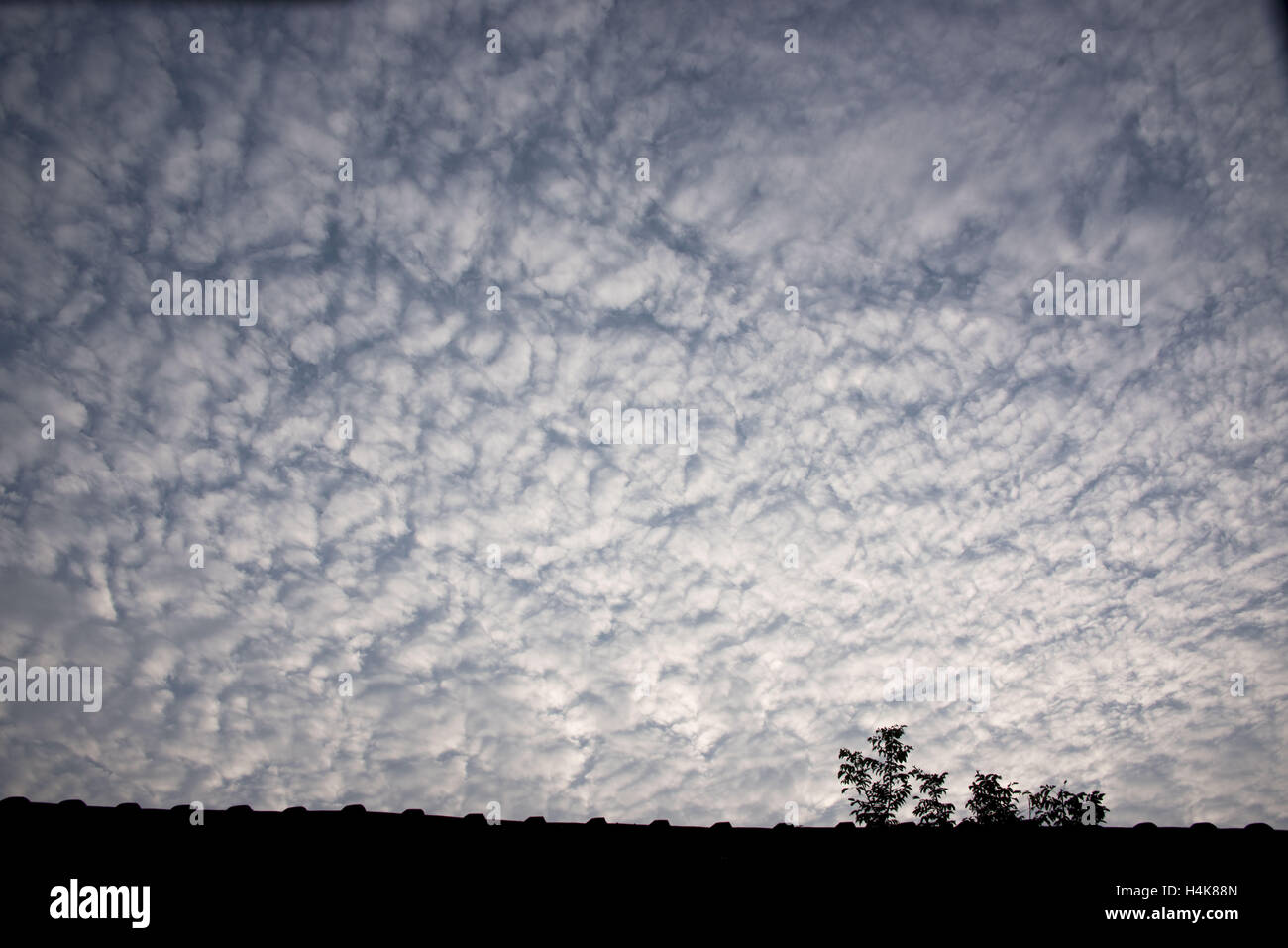 Sky similar to fish scales hi-res stock photography and images - Alamy