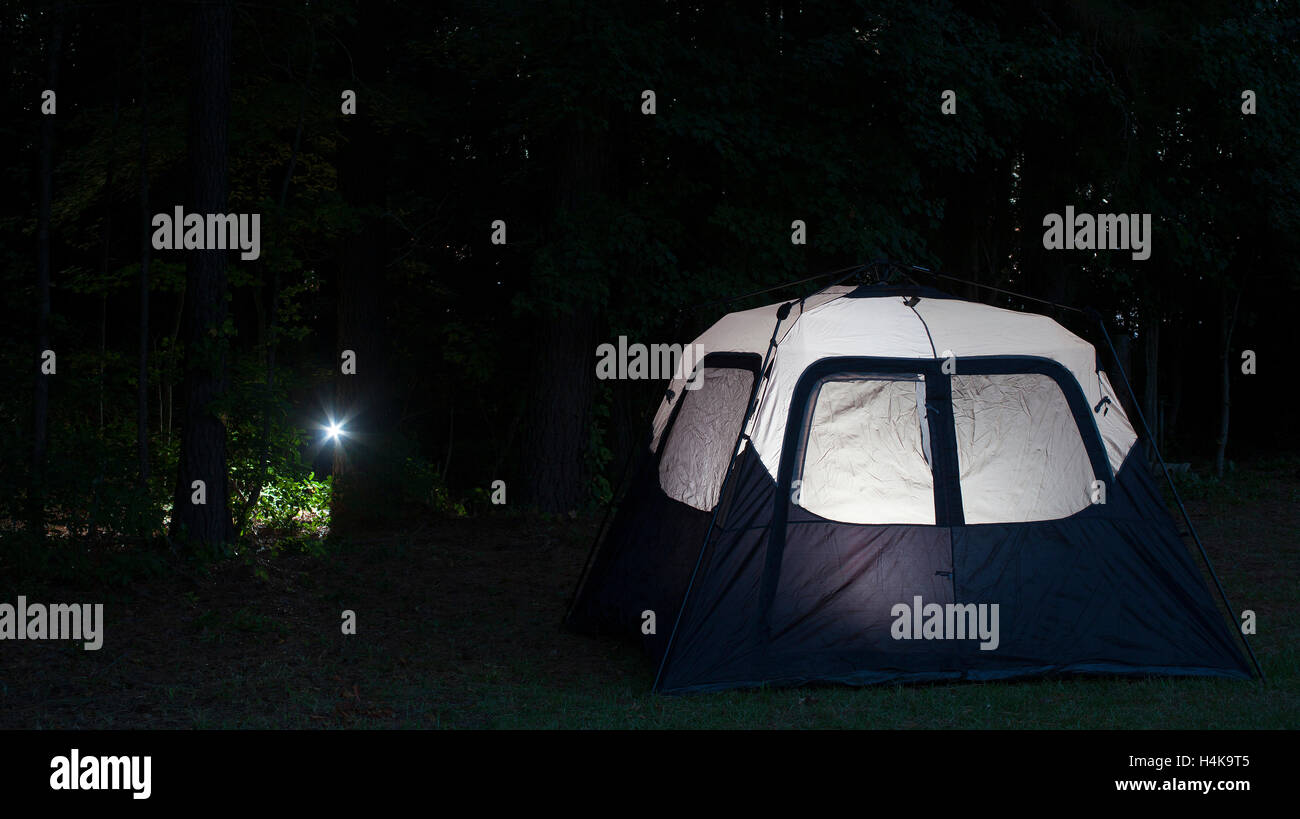 Flashlight forest hi-res stock photography and images - Alamy