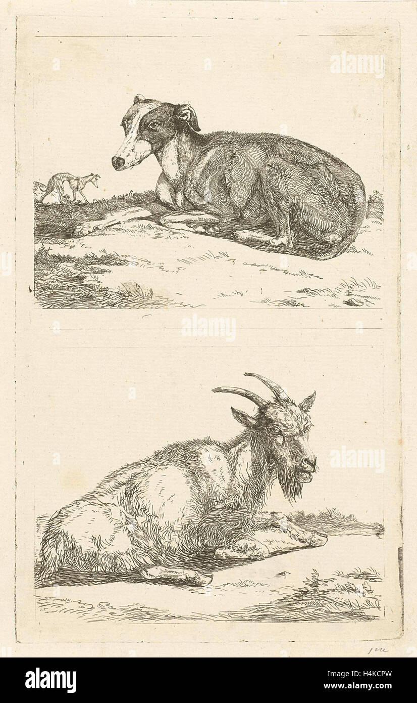 Greyhounds and goat, Jan Dasveldt, 1780-1855 Stock Photo - Alamy