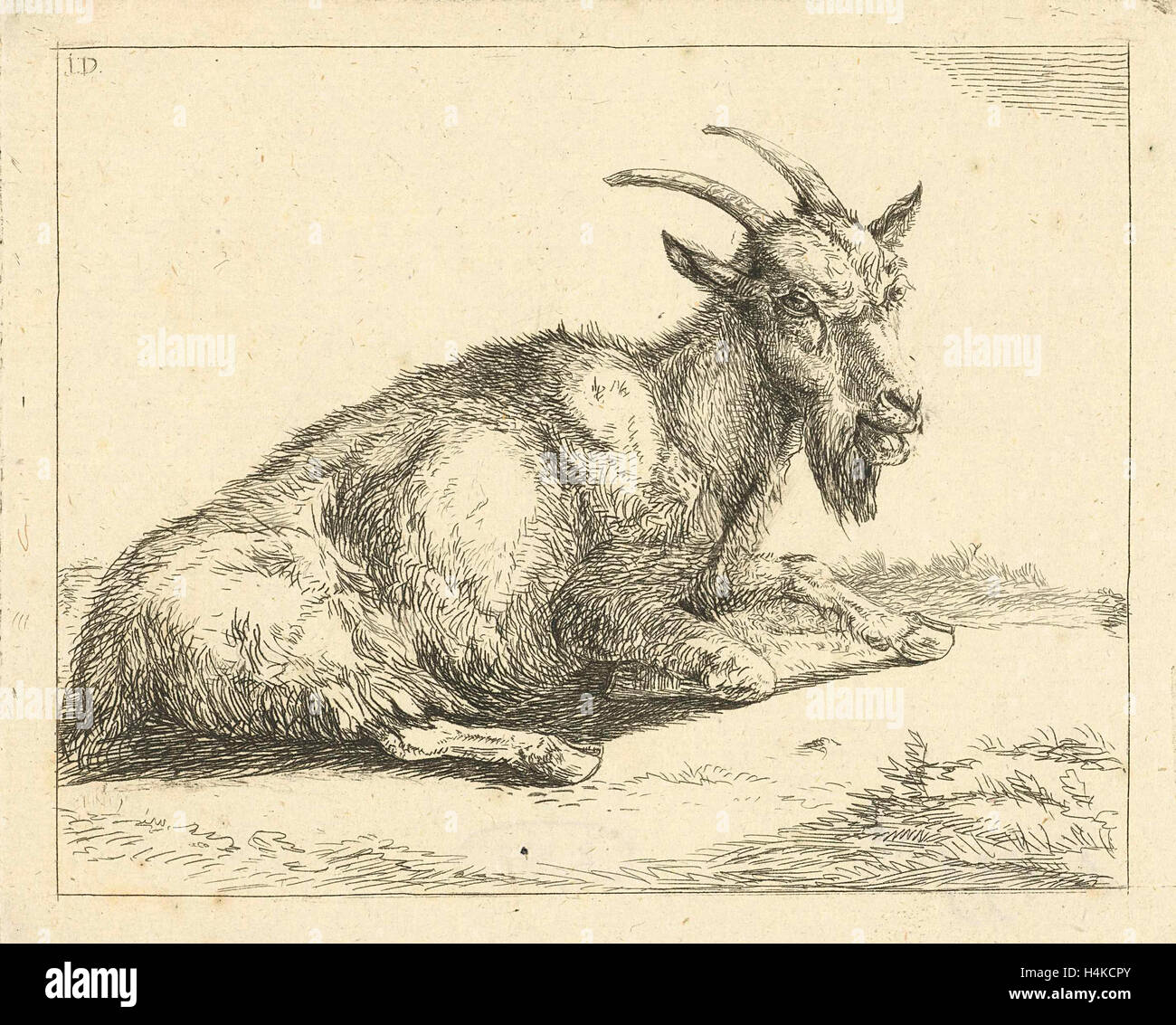 Goat, Jan Dasveldt, 1780 - 1855 Stock Photo - Alamy