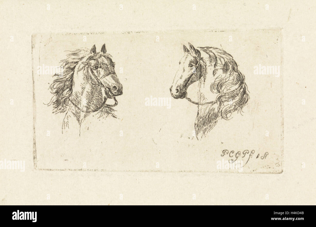 Two horse heads, Paulus Charles Gerard Poelman, 1803 - 1846 Stock Photo ...