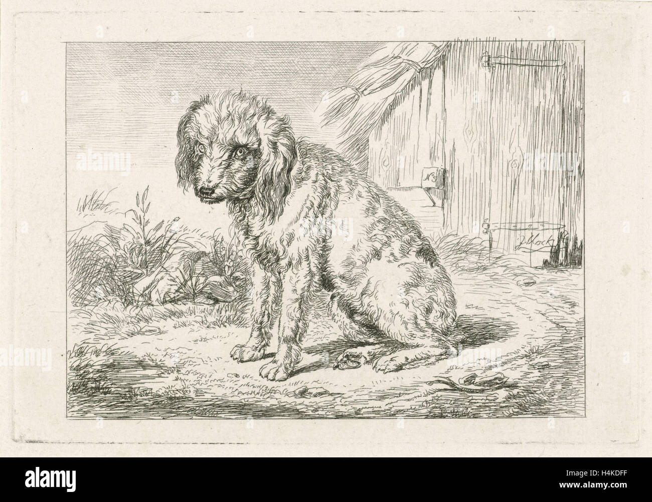Sitting dog in a barn, Johannes Mock, 1810 - 1884 Stock Photo - Alamy