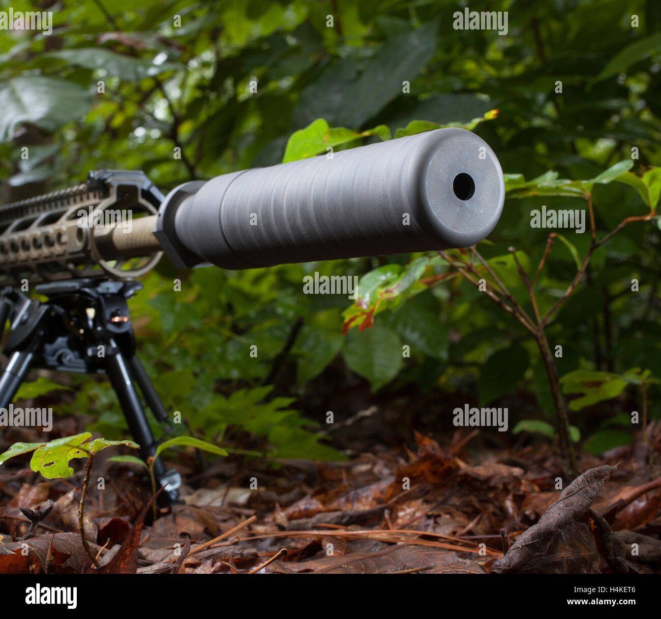 Weapon barrel hi-res stock photography and images - Alamy