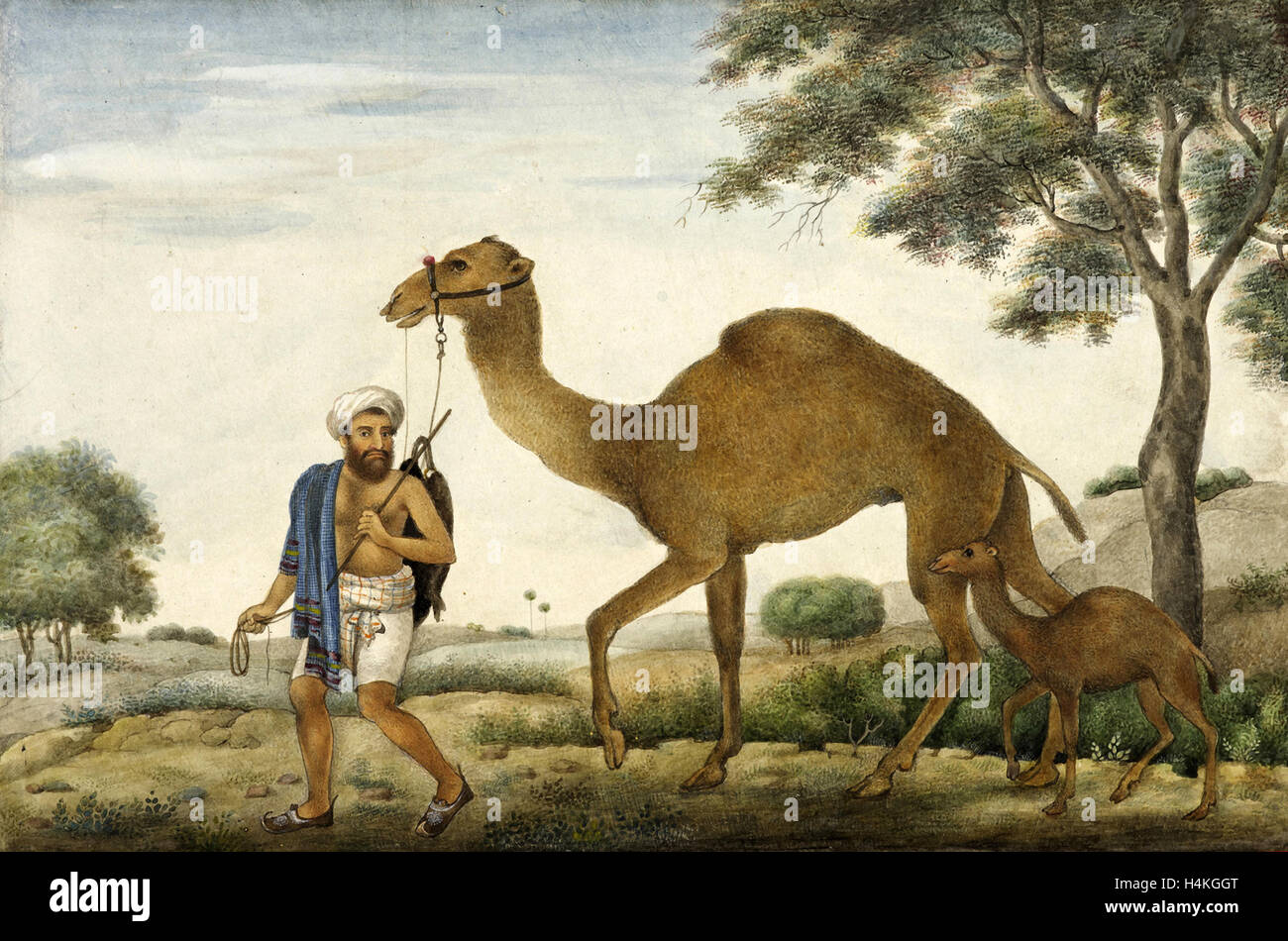 Ribari High Resolution Stock Photography and Images - Alamy