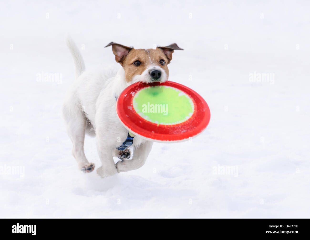 Frozen motion hi-res stock photography and images - Alamy