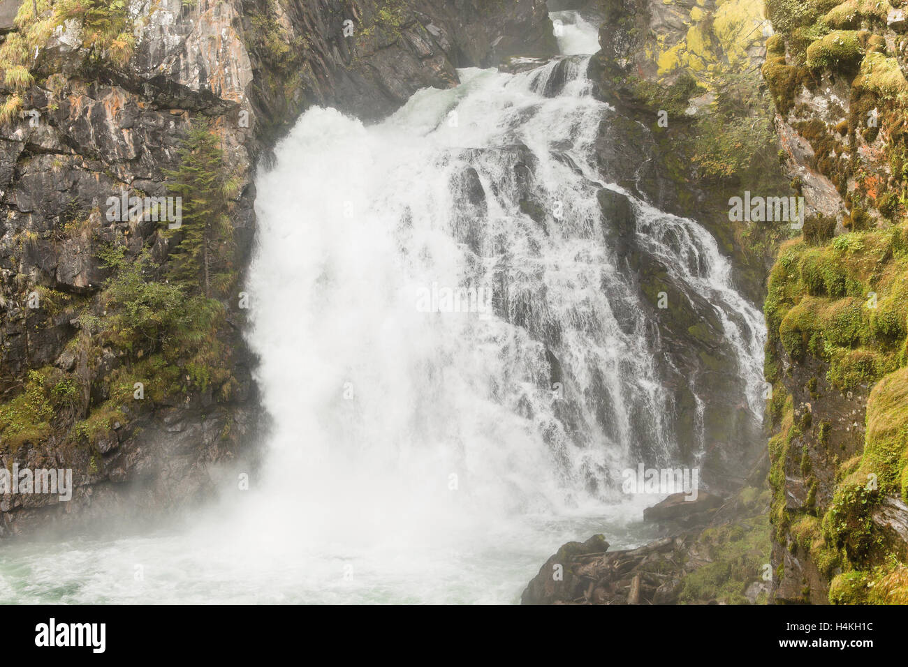 A natural waterfall inside a forest in the Italian Alps Stock Photo - Alamy