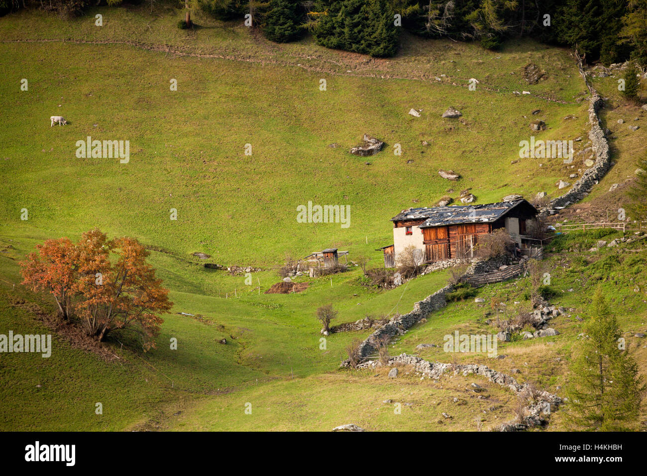 An old alm in the valley at fall Stock Photo - Alamy