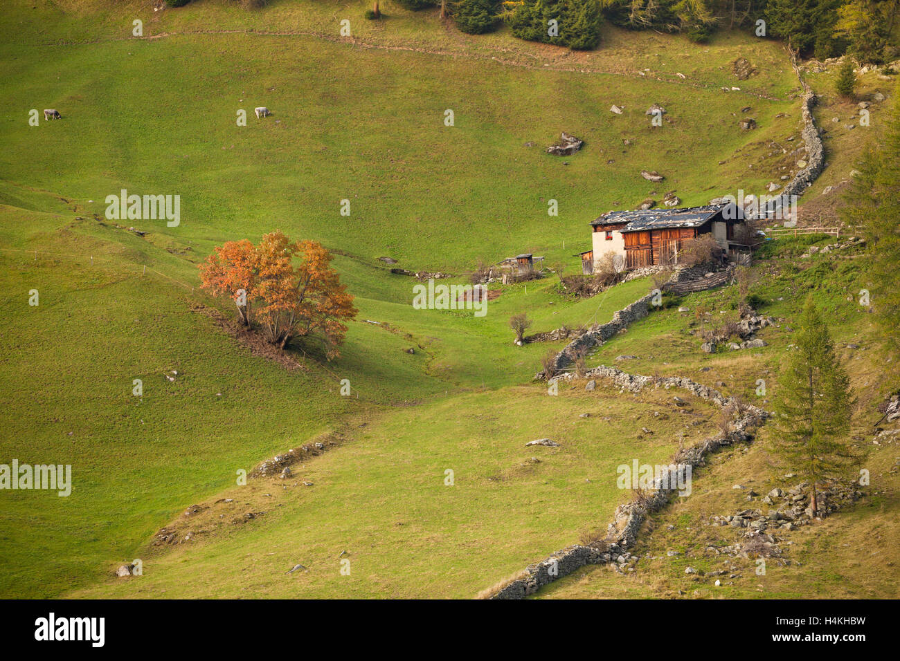 An old alm in the valley at fall Stock Photo - Alamy