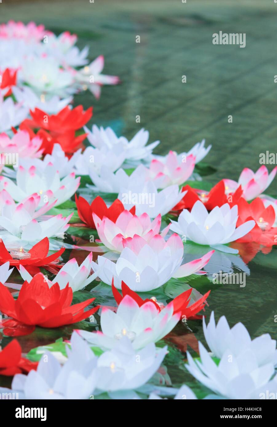 Indian diwali festival lotus flower offerings floats on water ...