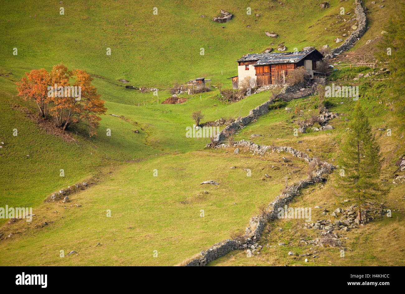 An old alm in the valley at fall Stock Photo - Alamy