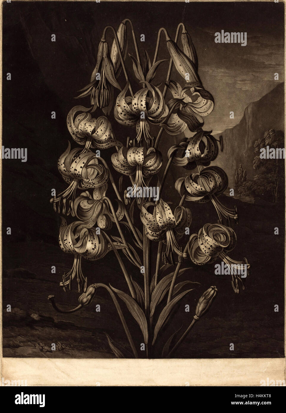 William ward after philip reinagle hi-res stock photography and images - Alamy