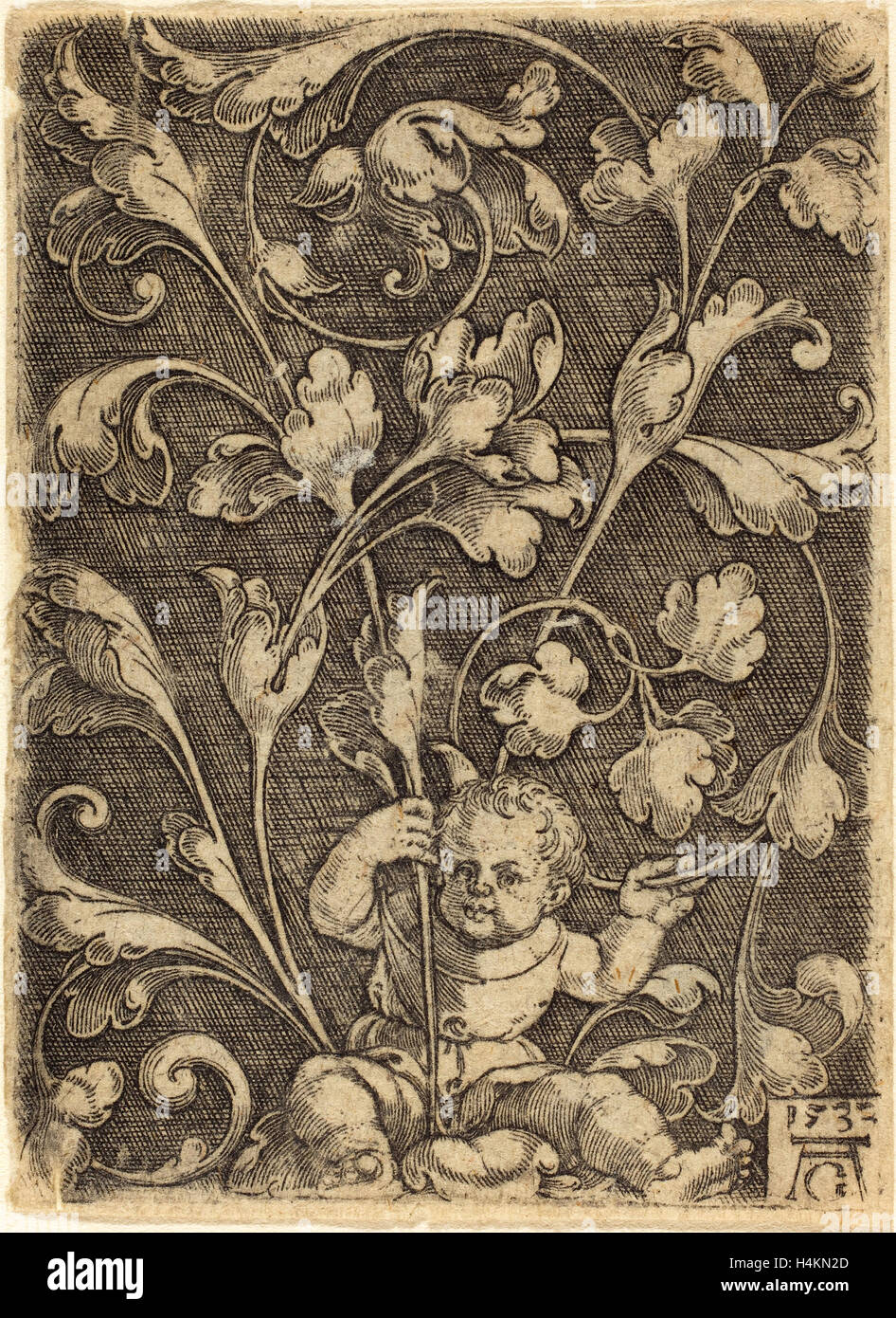 Heinrich Aldegrever (German, 1502 - 1555-1561), Scroll Ornament with ...
